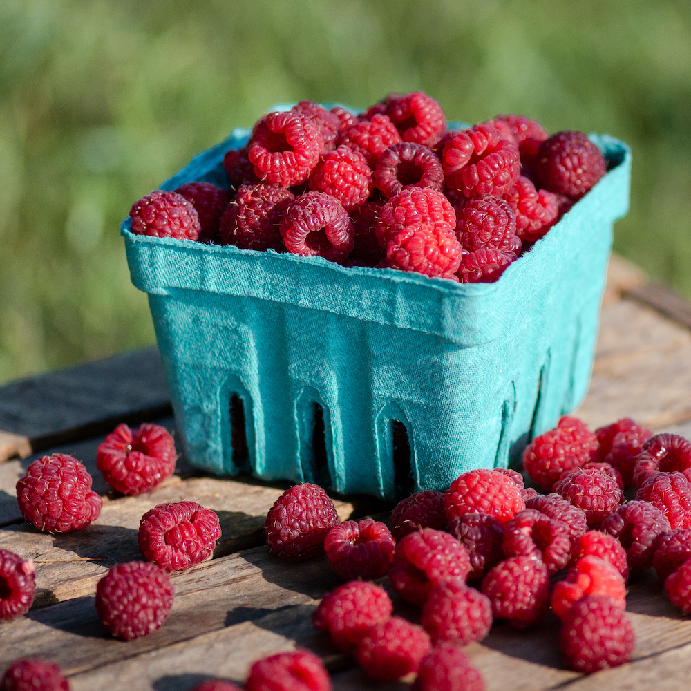 Raspberries - Heeman's