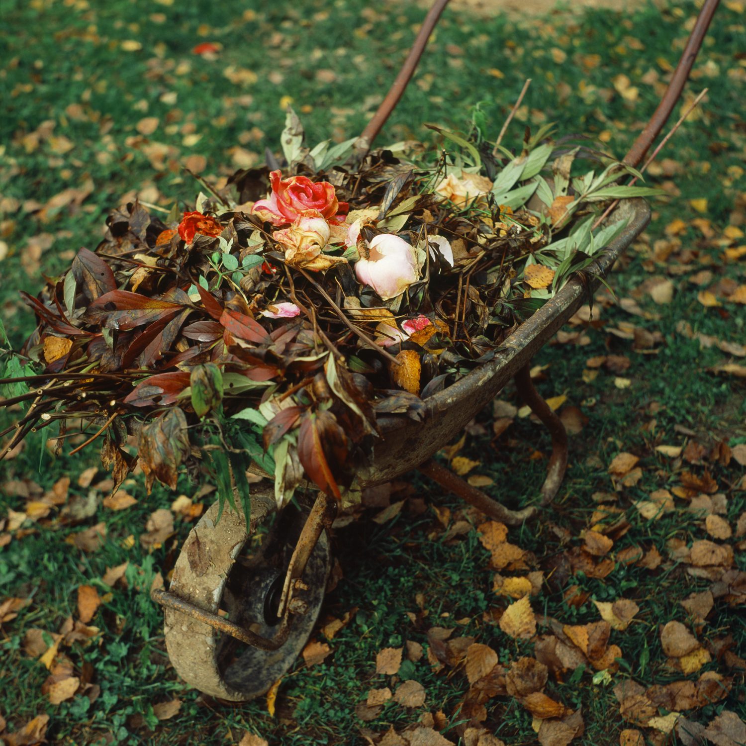 Spring Clean Up Checklist - Heeman's