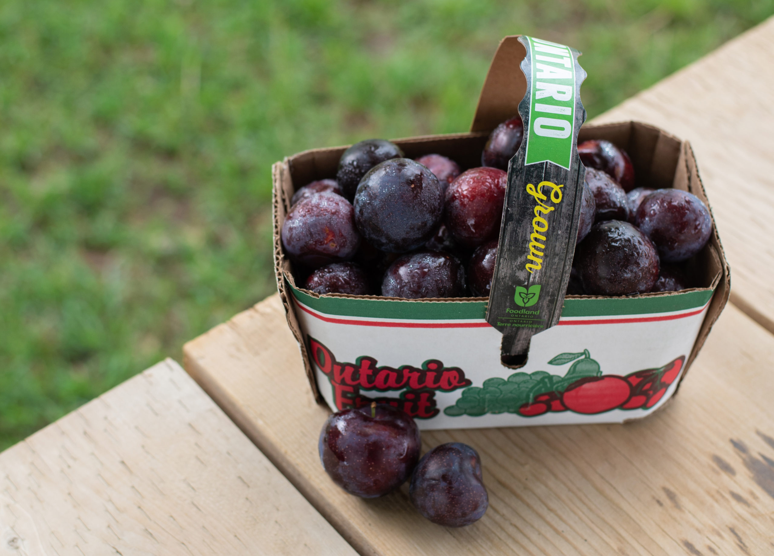 Cherry Plums - Heeman's