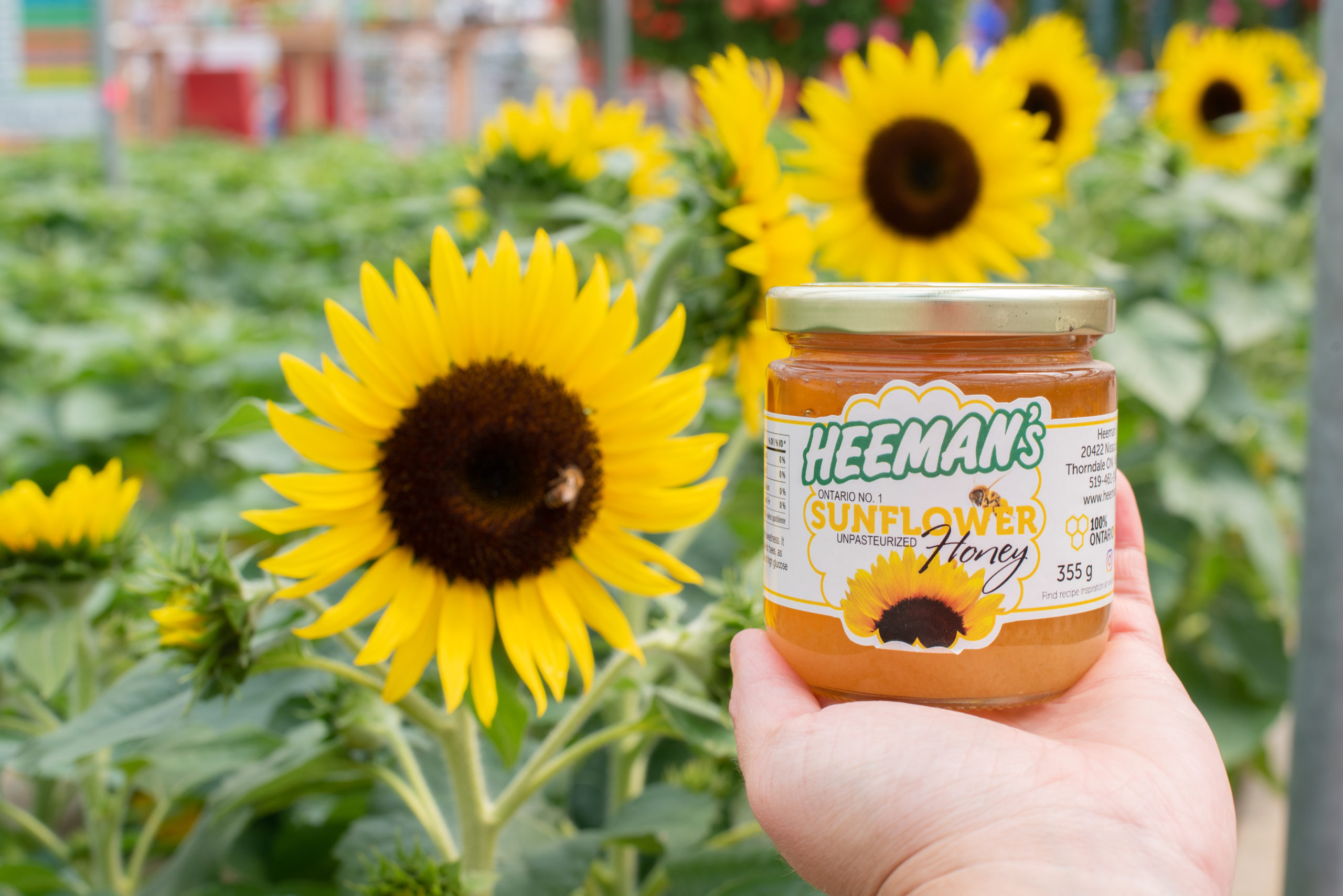 Heeman's Honey - Sunflower - Heeman's