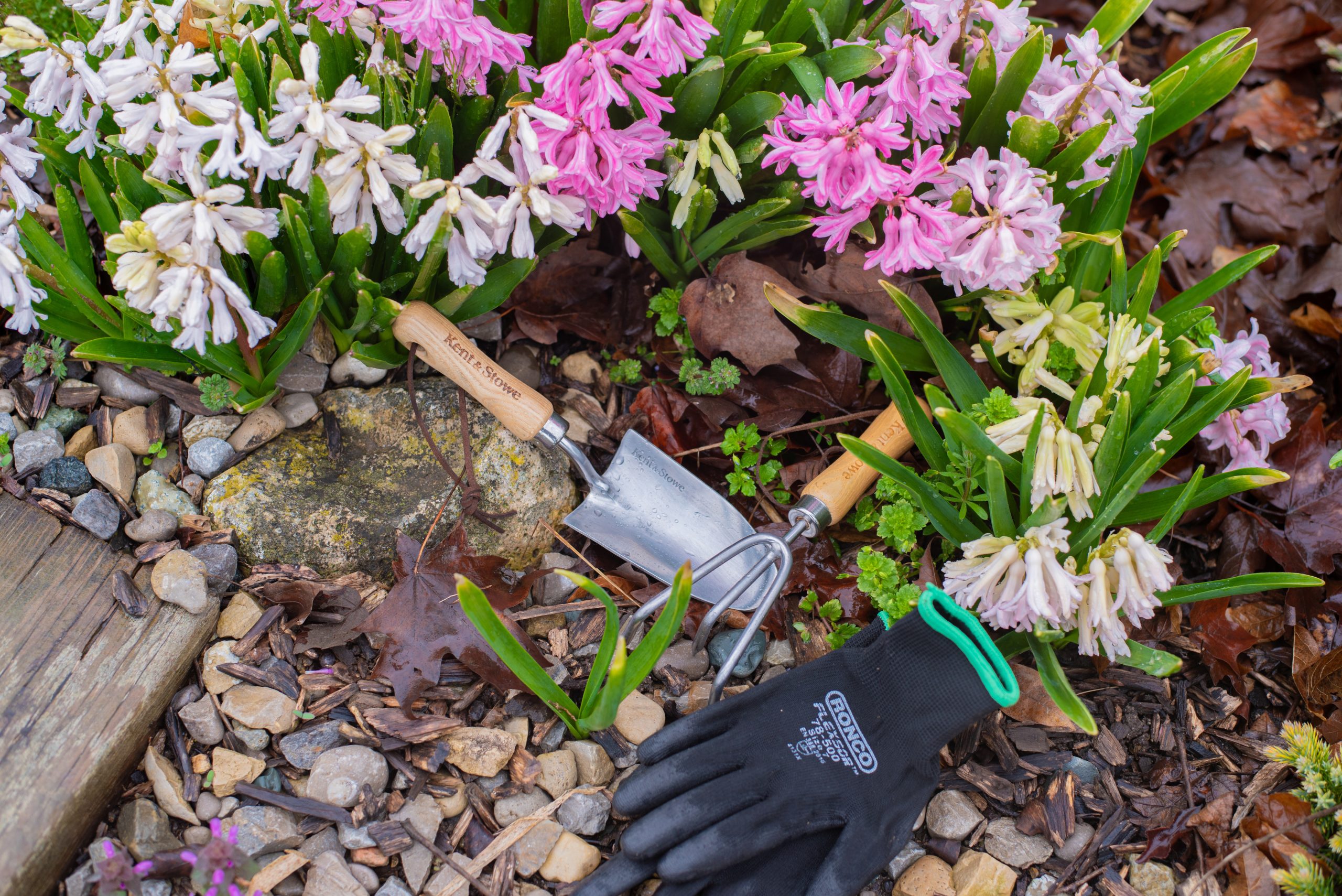 Top Tips For Beginner Gardeners Heeman S