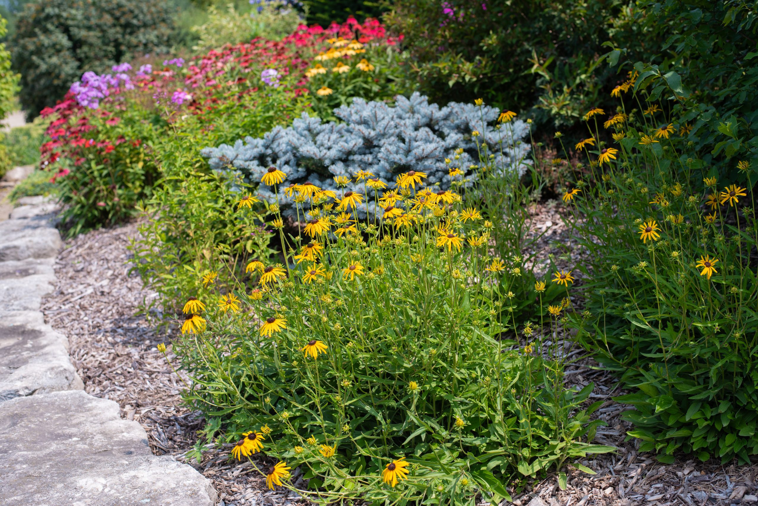 All About Rain Gardens - Heeman's